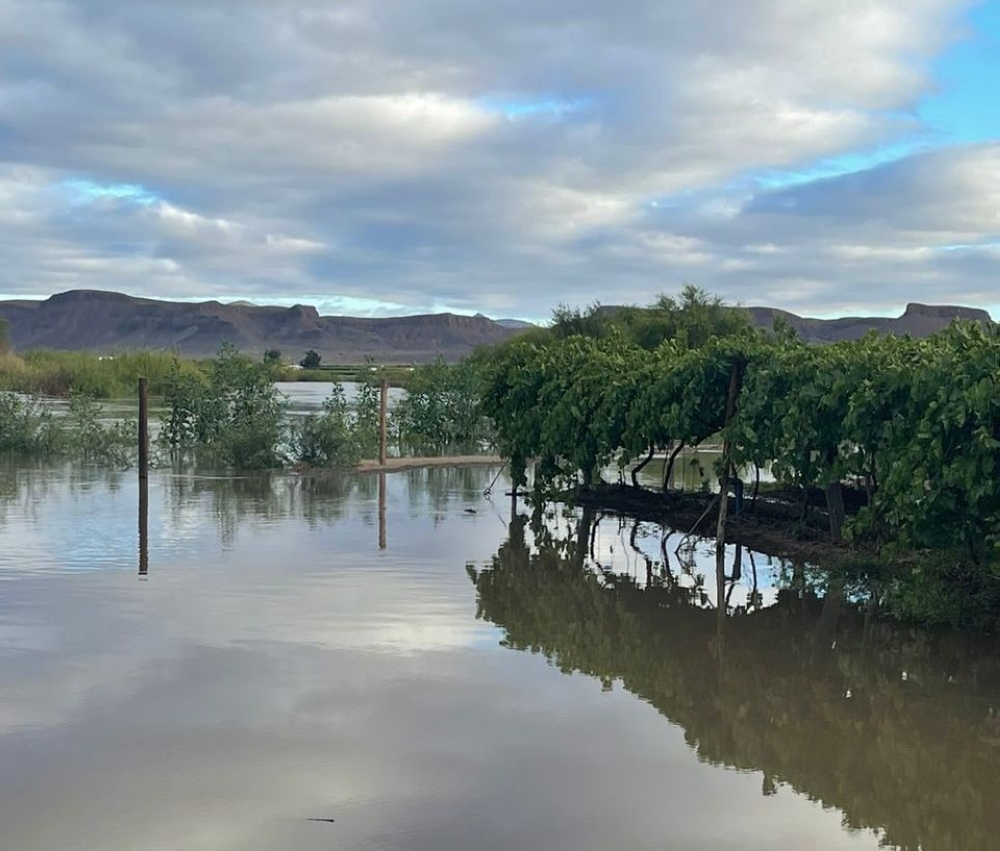 Oranjerivier weer in vloed - Tourismus Namibia